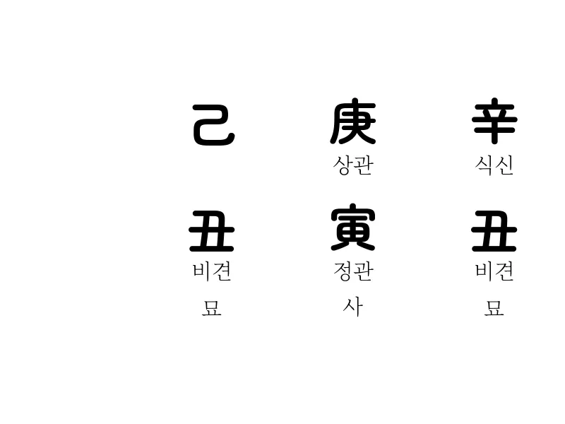 뉼_이슈트반 사주 - 타로혼몰